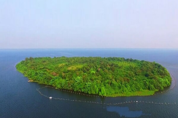 Top 10 Charming Tourist Places in Alappuzha